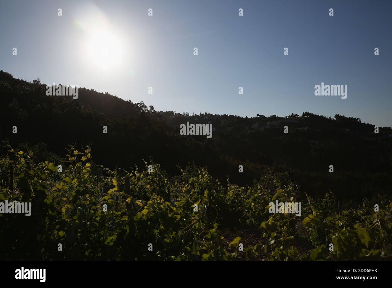 Napoleon battle portugal hi-res stock photography and images - Alamy