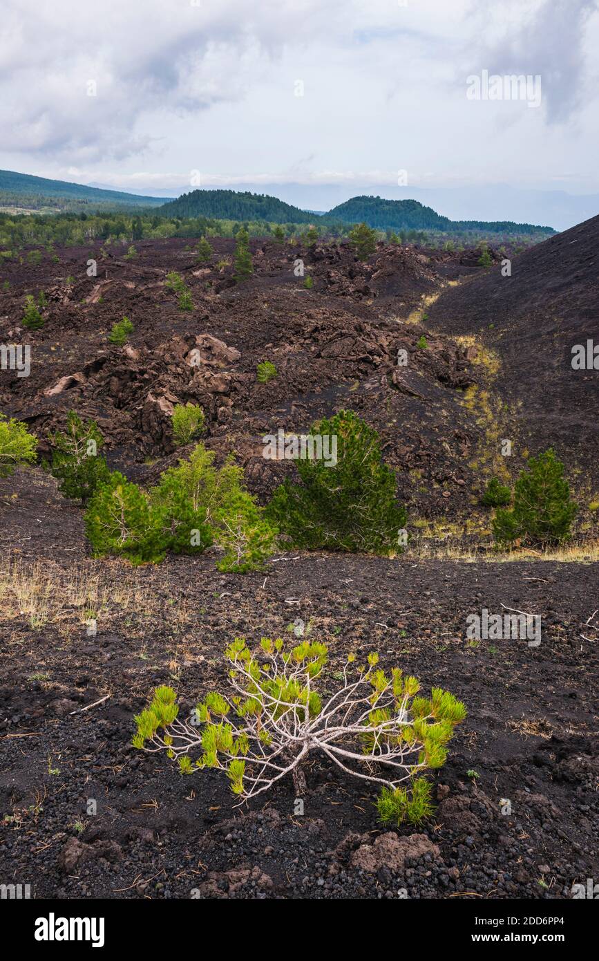 Mount Etna Volcano landscape, showing an old lava flow from a volcanic ...