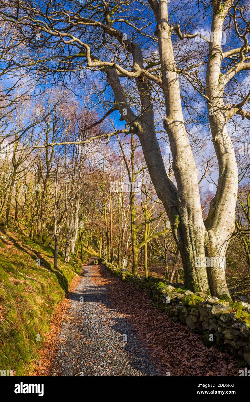 Croesor Valley, Snowdonia National Park, North Wales Stock Photo - Alamy