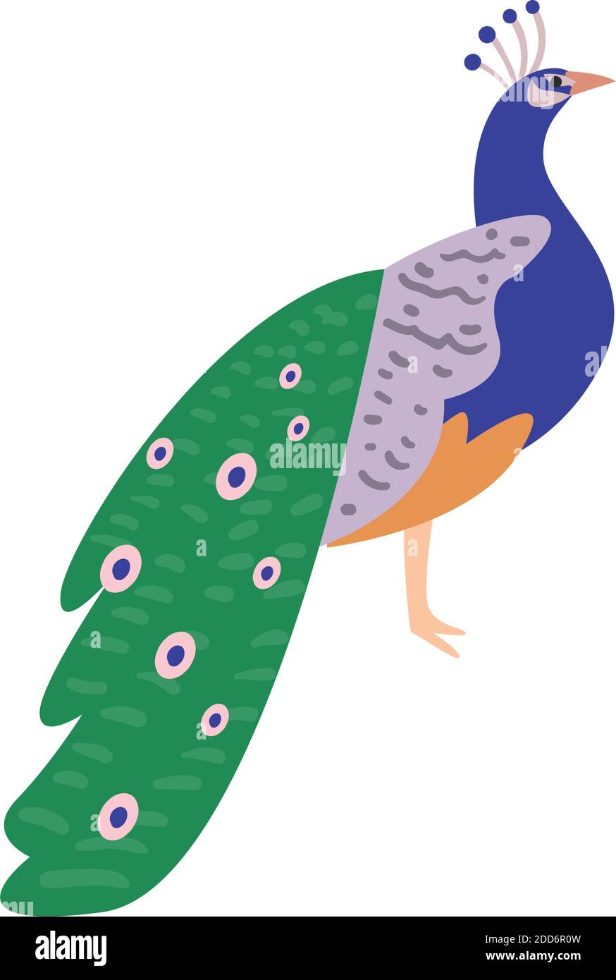 cute peacock animal on white background vector illustration design ...
