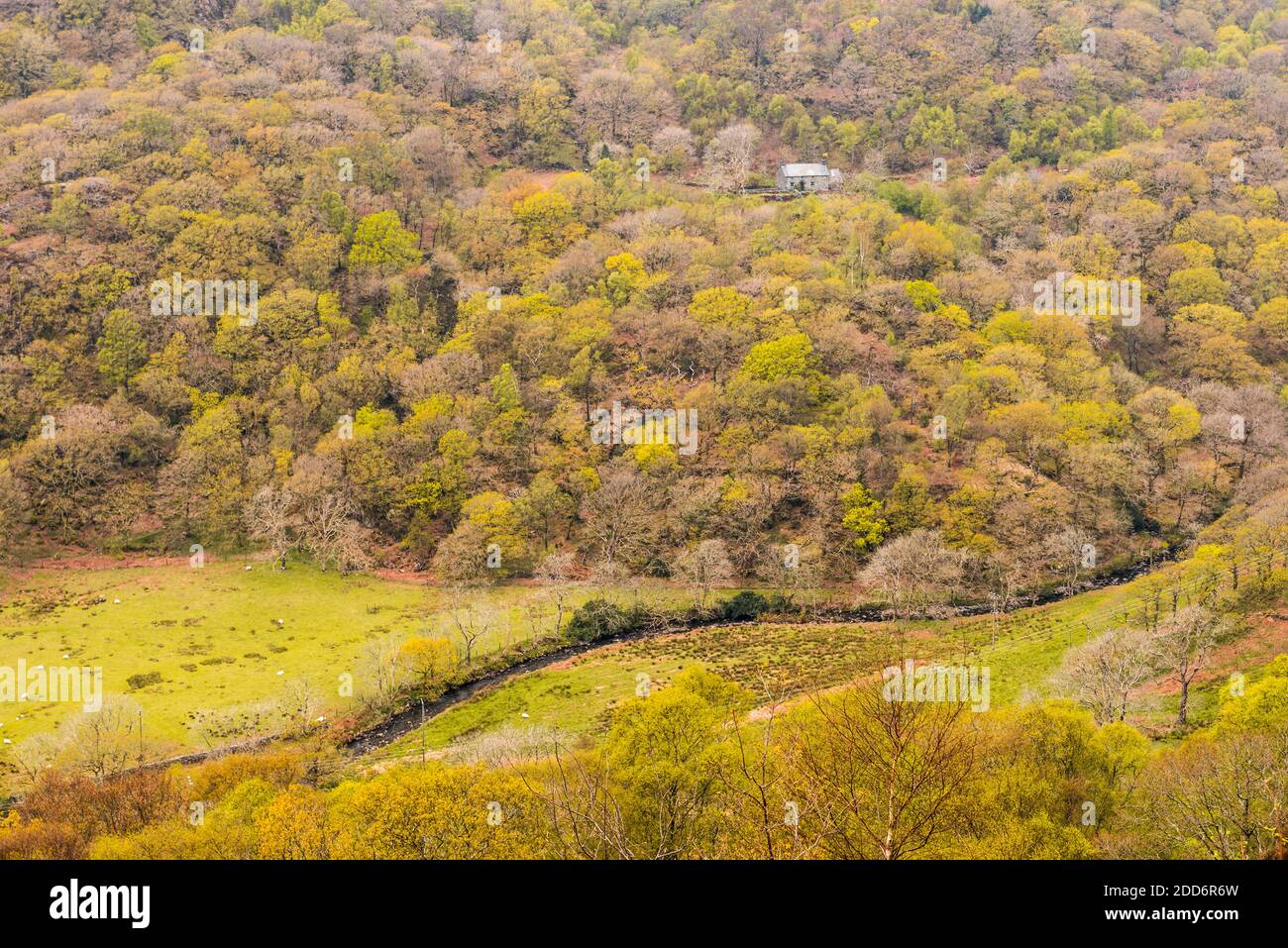 Croesor Valley, Snowdonia National Park, North Wales Stock Photo - Alamy