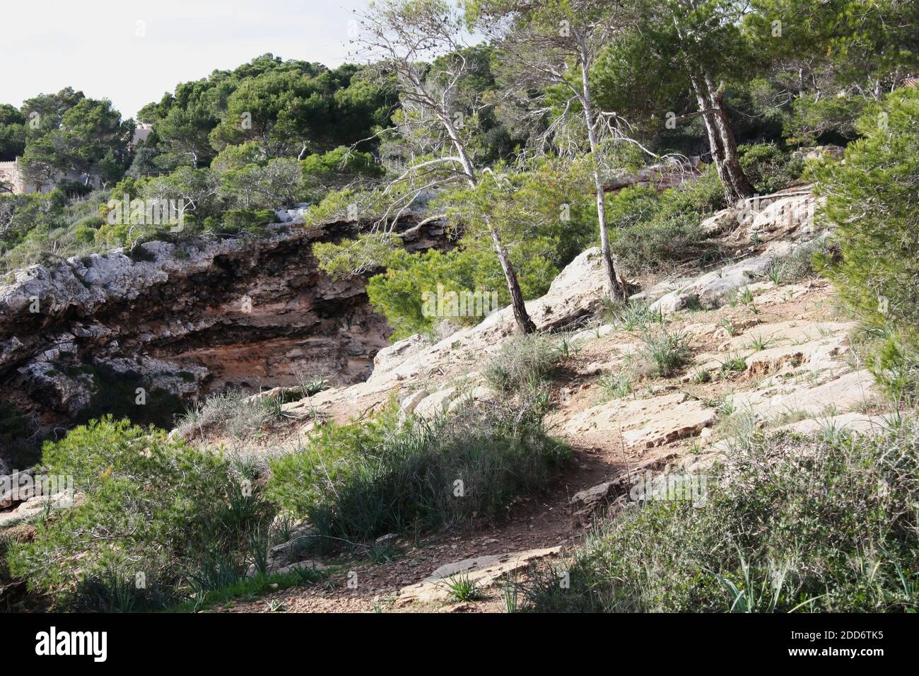 Island scenery, beach, beautiful bay seaside, Balearic Islands ...