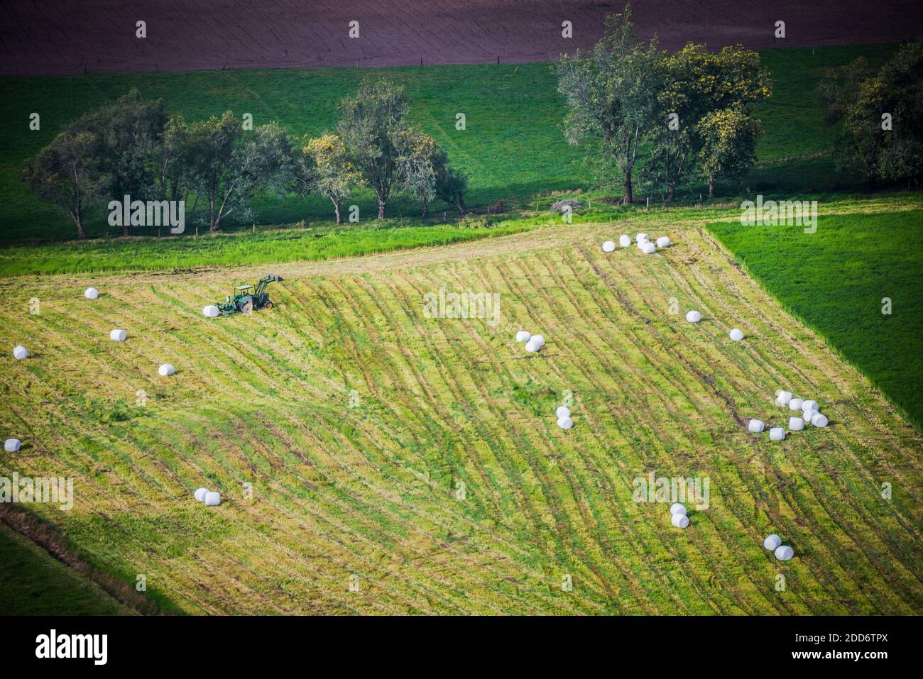 Farmland at Hacienda Zuleta, Imbabura, Ecuador, South America Stock ...