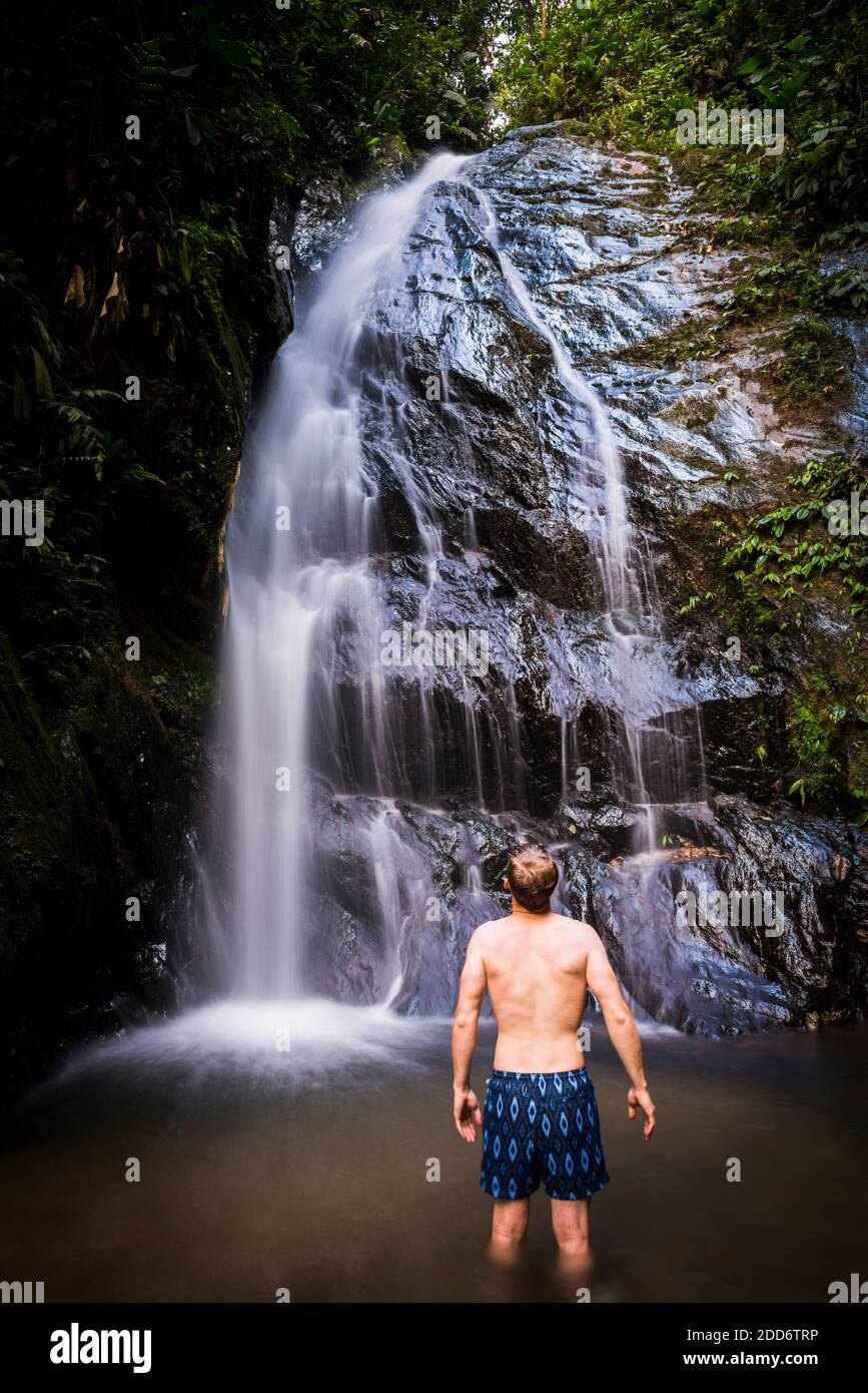 Tourist under Cucharillos Waterfall in the Choco Rainforest, Ecuador ...