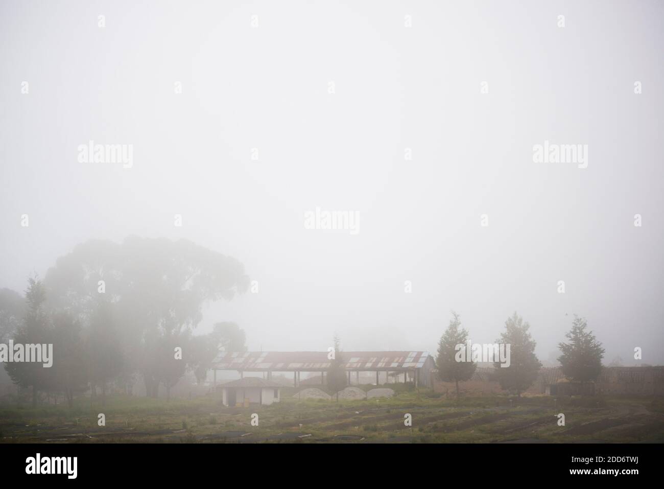Hacienda Zuleta farm buildings, Imbabura, Ecuador, South America Stock ...