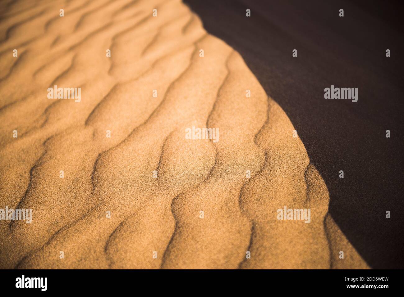 Sand dune patterns in the desert, Huacachina, Ica Region, Peru, South ...