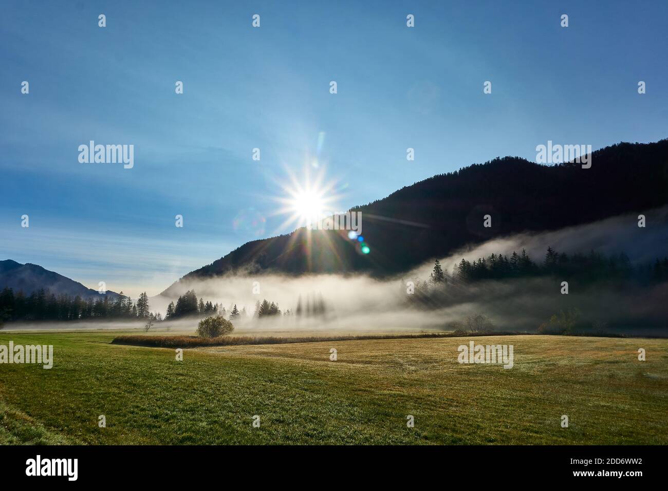 Fog over field and creek at sun dawn Stock Photo - Alamy