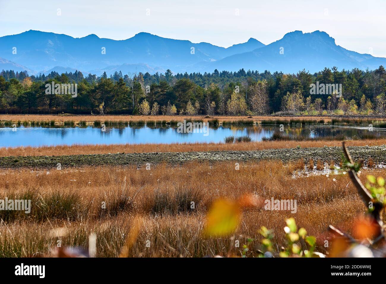Autumn walk at the moor with a mountain range in the background Stock ...