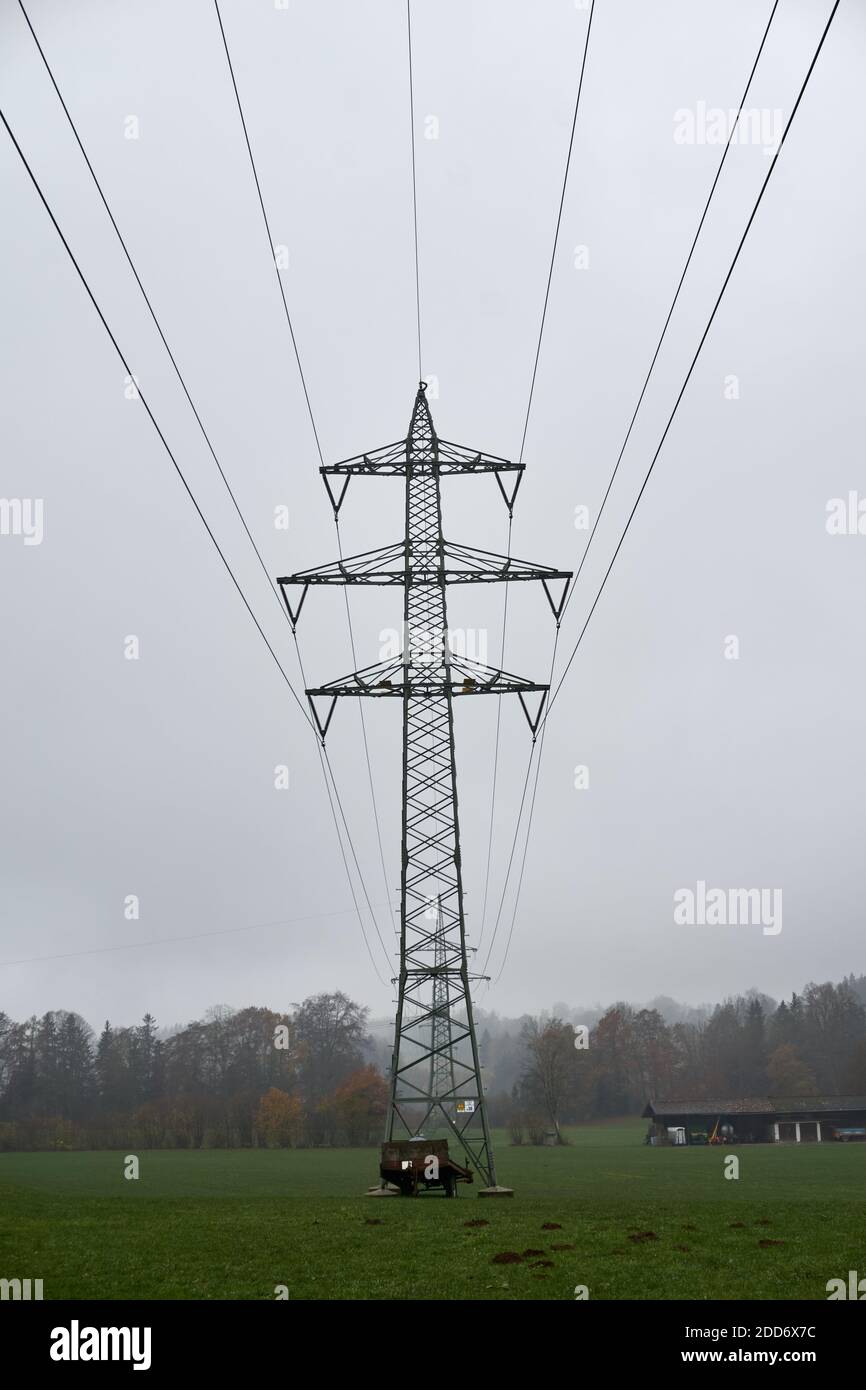Powerline on a meadow in the fog Stock Photo - Alamy