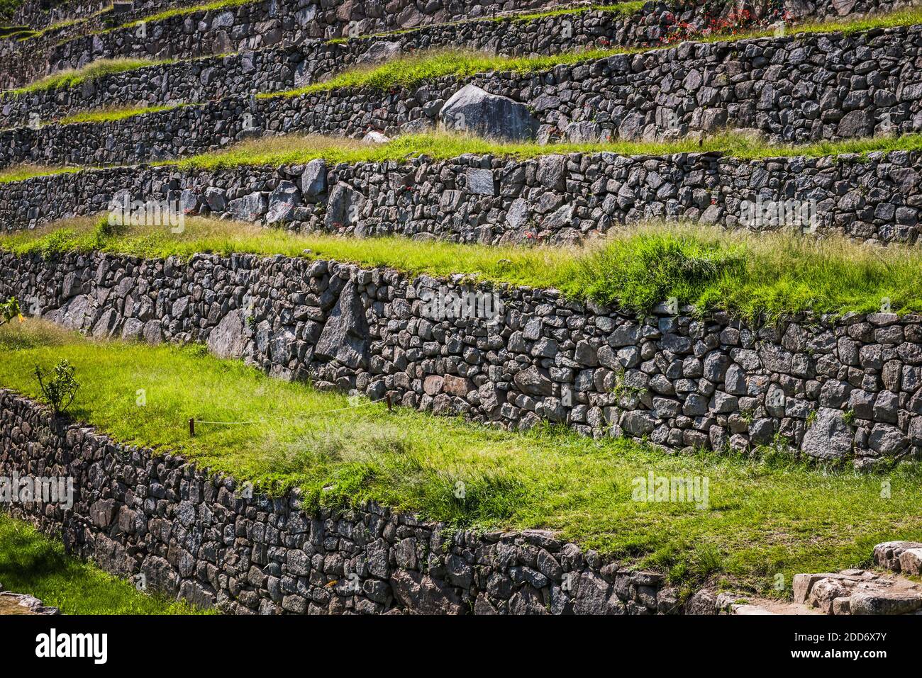 Inca terraces at Machu Picchu Inca ruins, Cusco Region, Peru, South ...