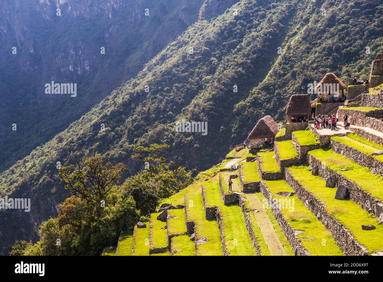 Inca terraces at Machu Picchu Inca ruins, Cusco Region, Peru, South ...