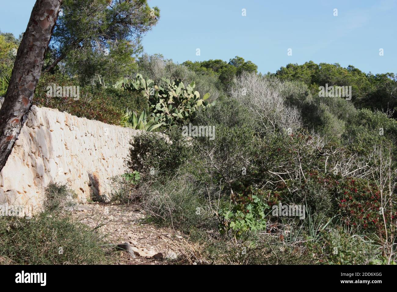 Island scenery, beach, beautiful bay seaside, Balearic Islands ...