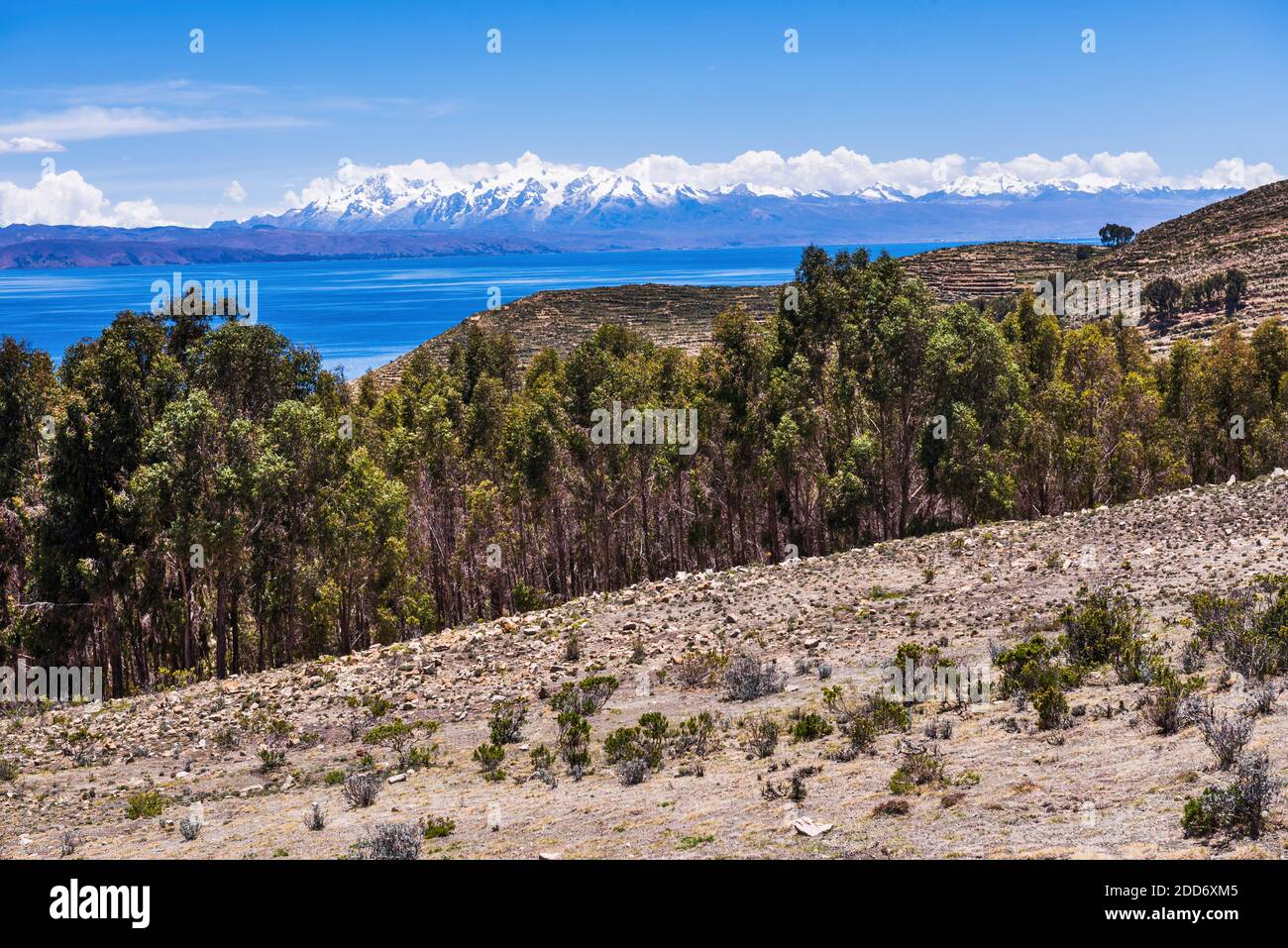 Isla del Sol (Island of the Sun) with Cordillera Real behind, Lake ...
