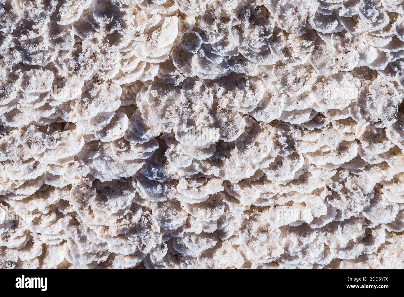 Salt detail close up at Uyuni Salt Flats (Salar de Uyuni), Uyuni ...