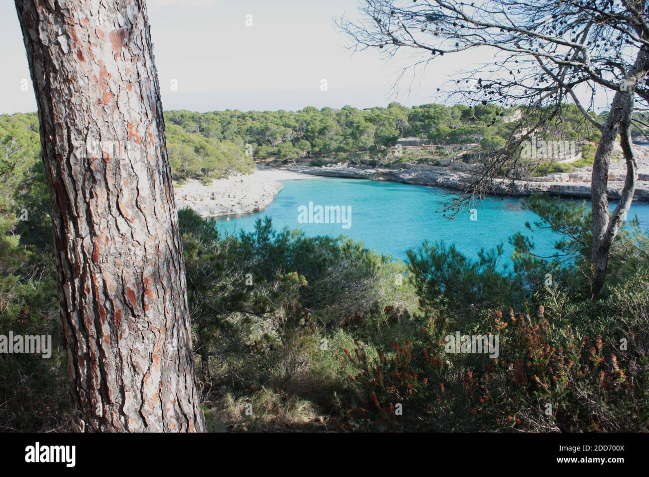 Island scenery, beach, beautiful bay seaside, Balearic Islands ...