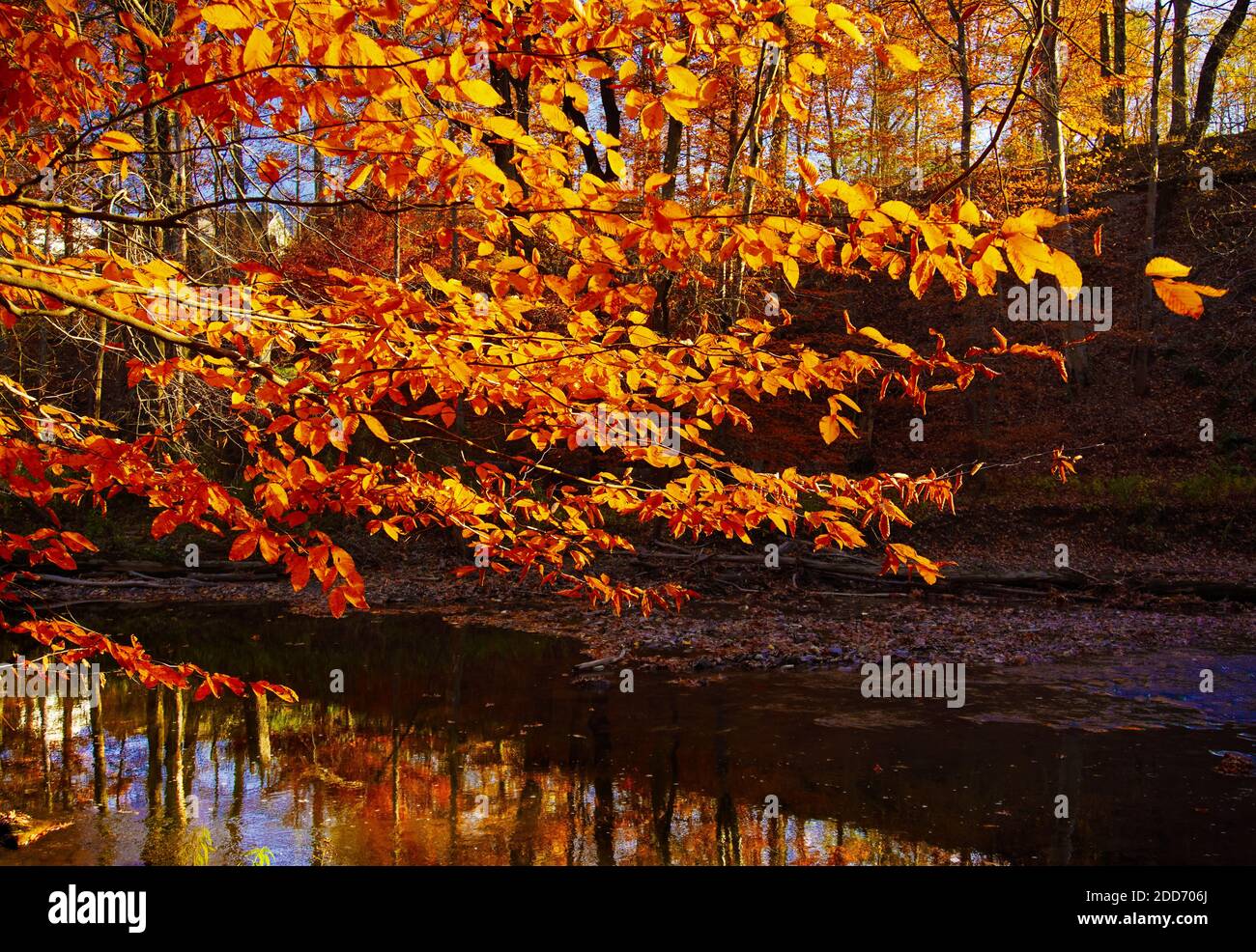 Color and reflections of color Stock Photo - Alamy