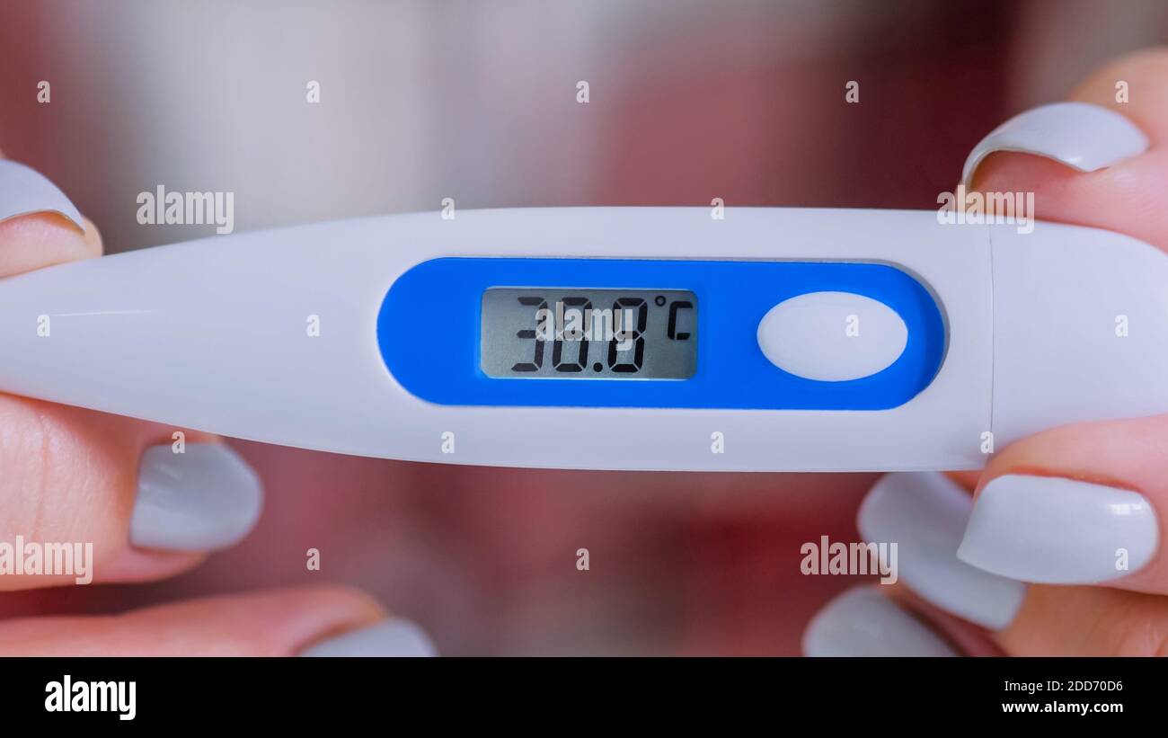 Digital thermometer for the field hi-res stock photography and images ...