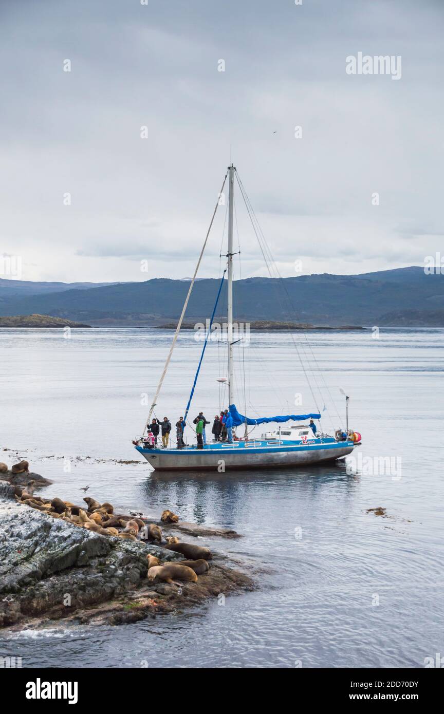 Beagle Channel sailing boat observing Sea Lion colony, Ushuaia, Tierra ...