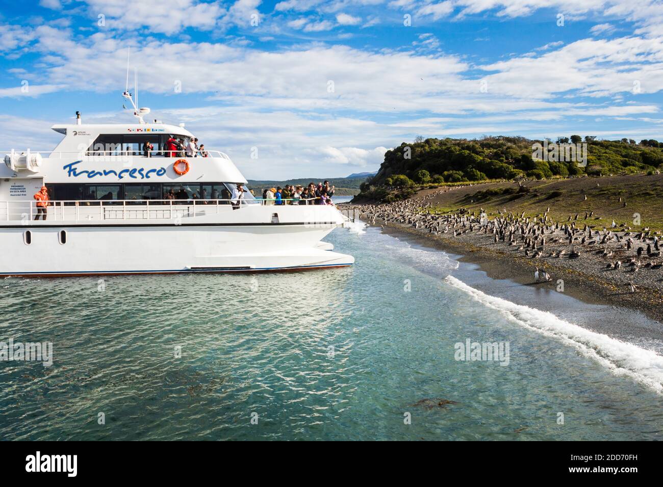 Beagle Channel boat navigation observing Magellanic penguins ...