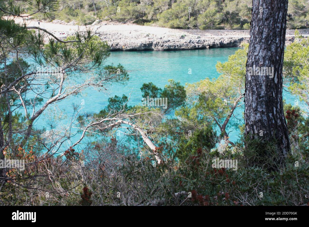 Island scenery, beach, beautiful bay seaside, Balearic Islands ...