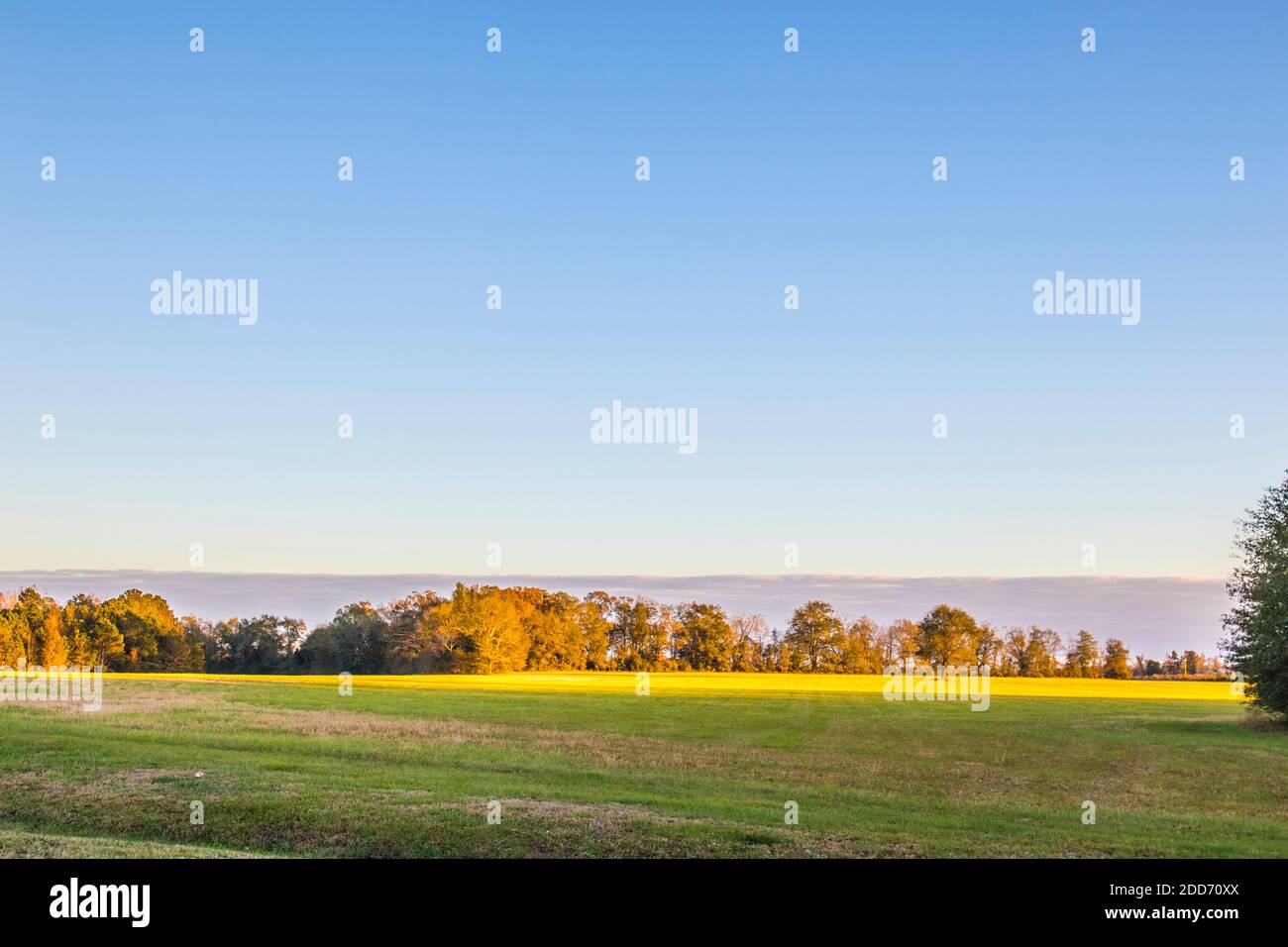 View of open country land and clouds on the horizon in the south Stock ...