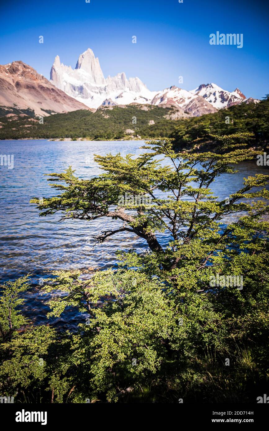 Lago Capri (Capri Lake) with Mount Fitz Roy behind, El Chalten ...