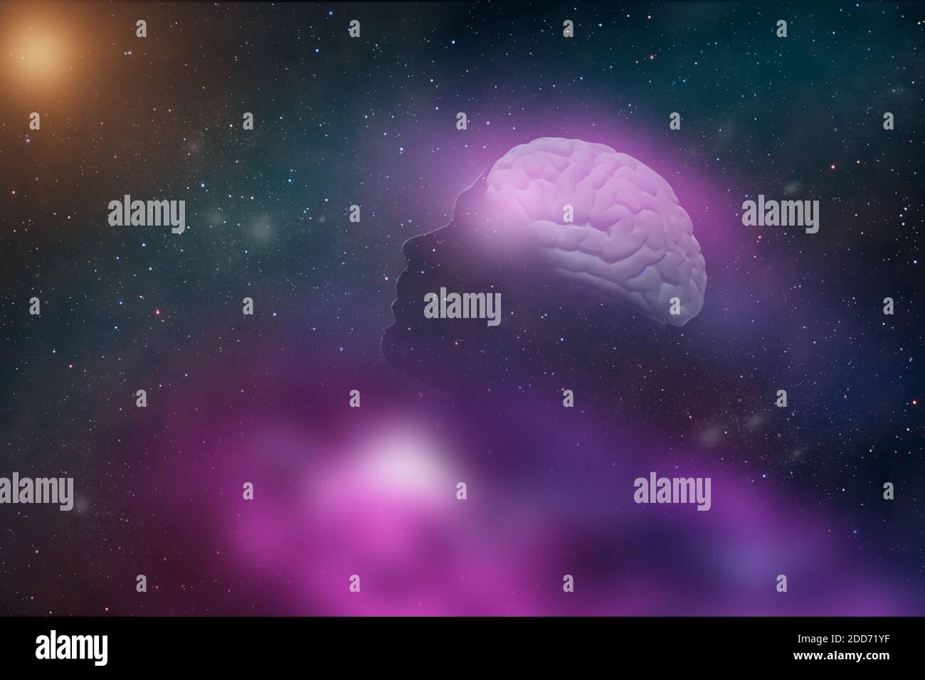 Human brain within head silhouette hi-res stock photography and images ...