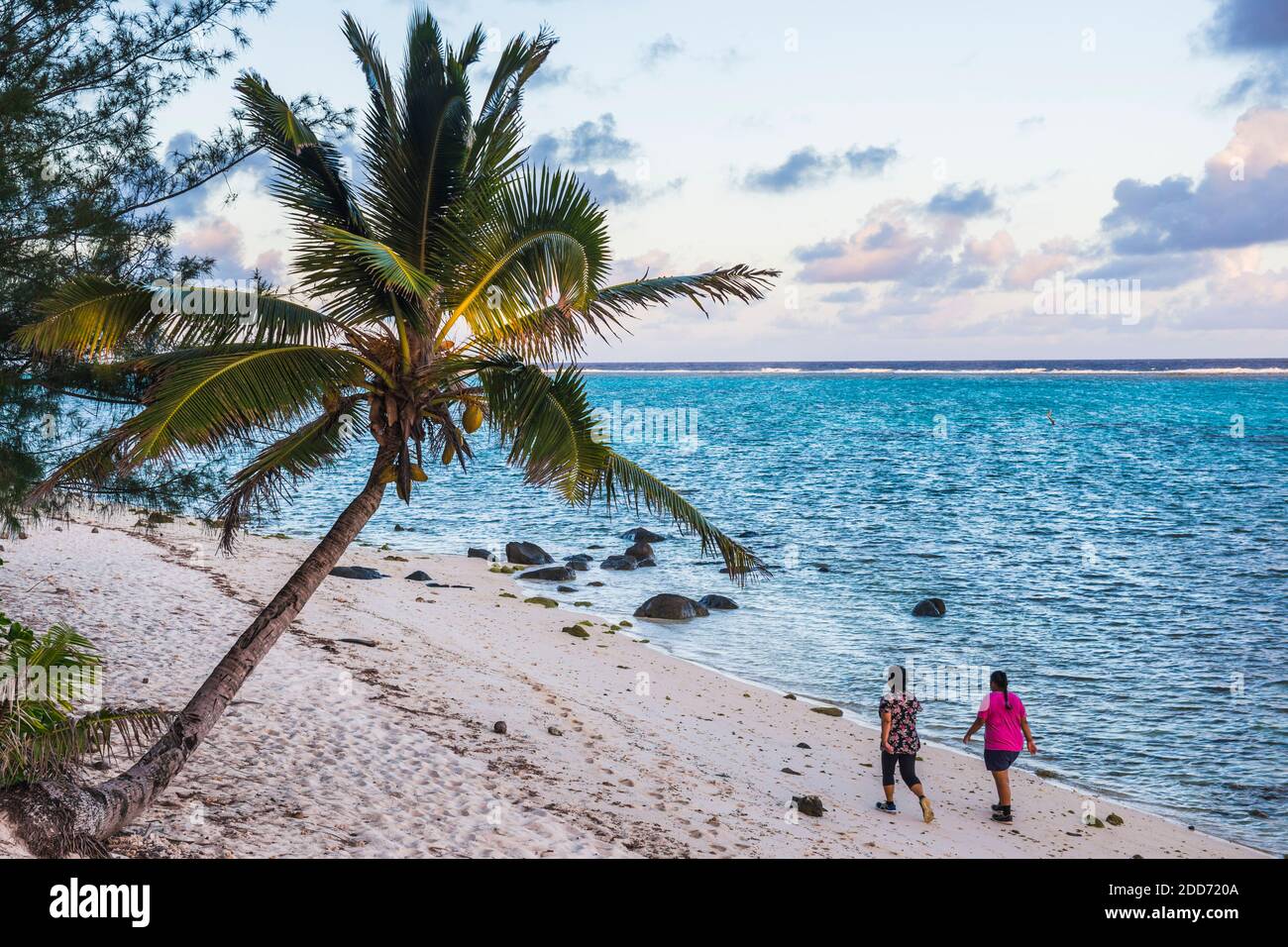 Two Palm Trees On Sunset High Resolution Stock Photography and Images ...