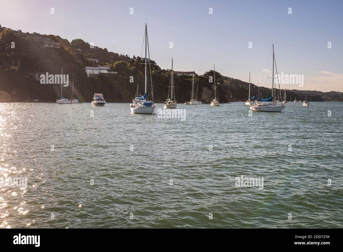 Okiato new zealand hi-res stock photography and images - Alamy