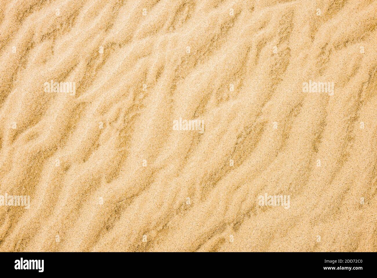 Sand close up detail at Te Paki Sand Dunes, 90 Mile Beach, New Zealand ...