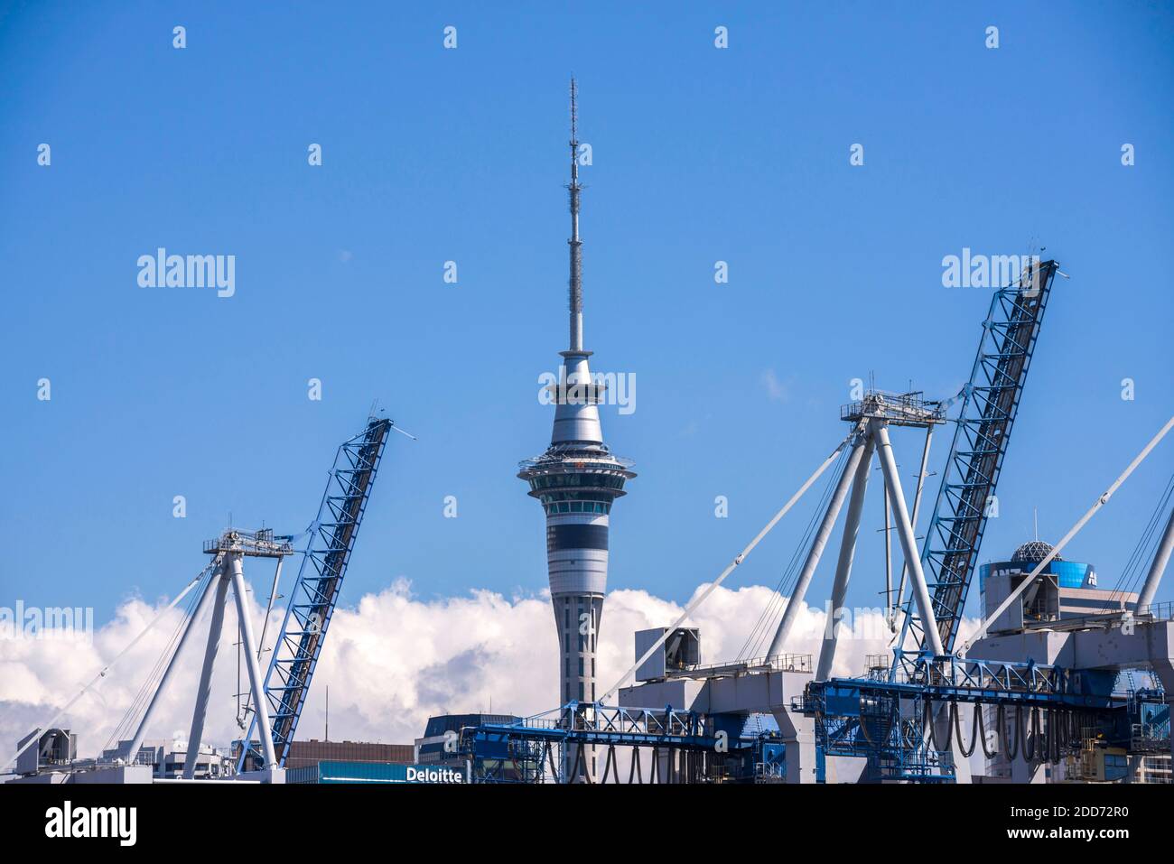 Metropolis auckland hi-res stock photography and images - Alamy