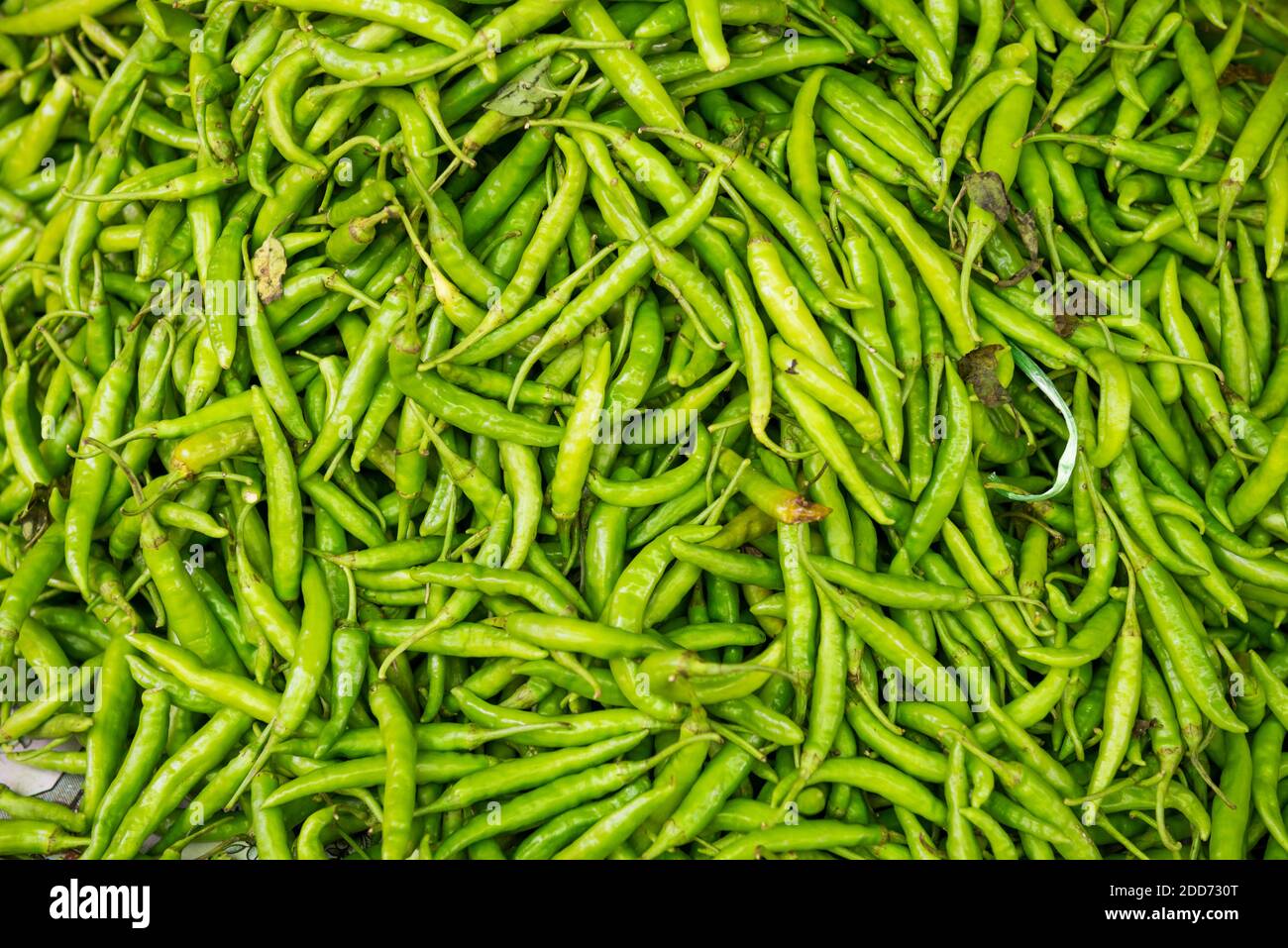 Green chillies in Mrauk U vegetable market, Rakhine State, Myanmar ...