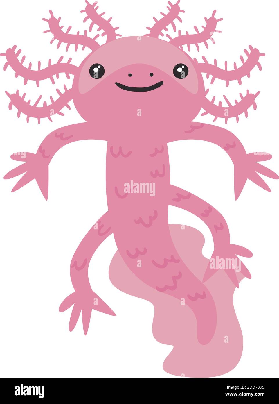 axolotl salamander cute on white background vector illustration design ...