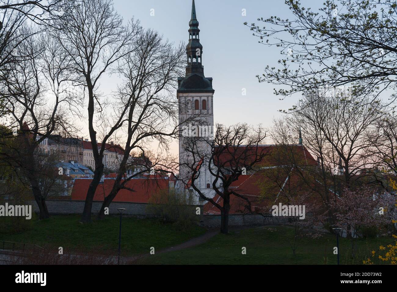 View of Tallinn spring evening with blooming trees Stock Photo - Alamy