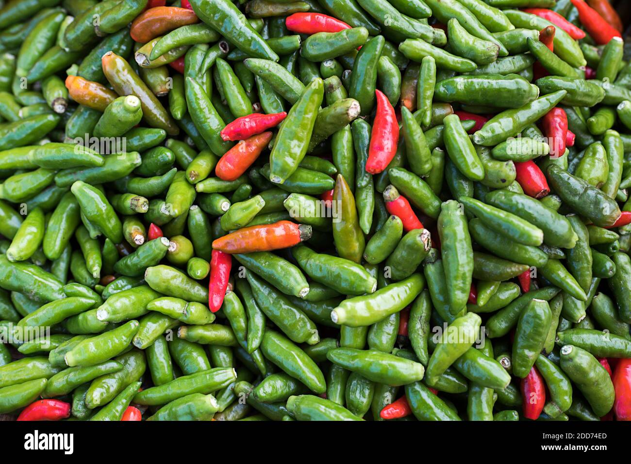 Red and green chilis in Berastagi (Brastagi) Market, North Sumatra ...