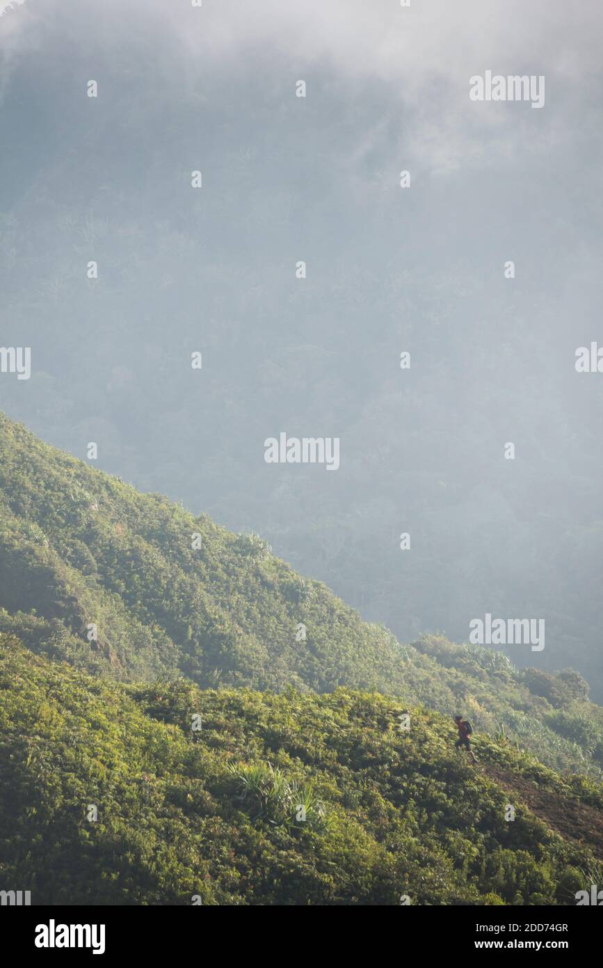 Hiker climbing to the top of Sibayak Volcano at sunrise, Berastagi ...
