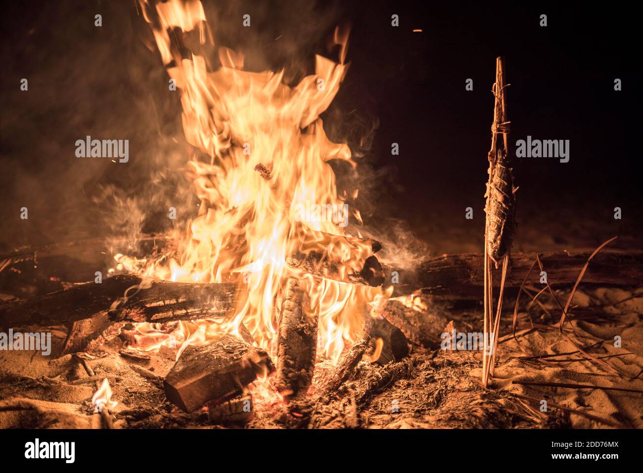 Cooking fish on a fire on the beach at night, Dawei Peninsula ...