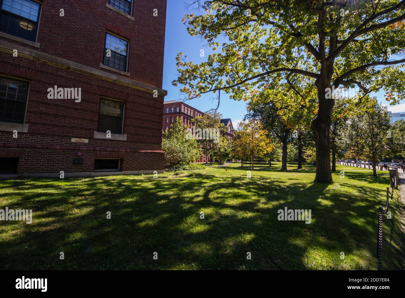 Harvard university campus summer hi-res stock photography and images ...