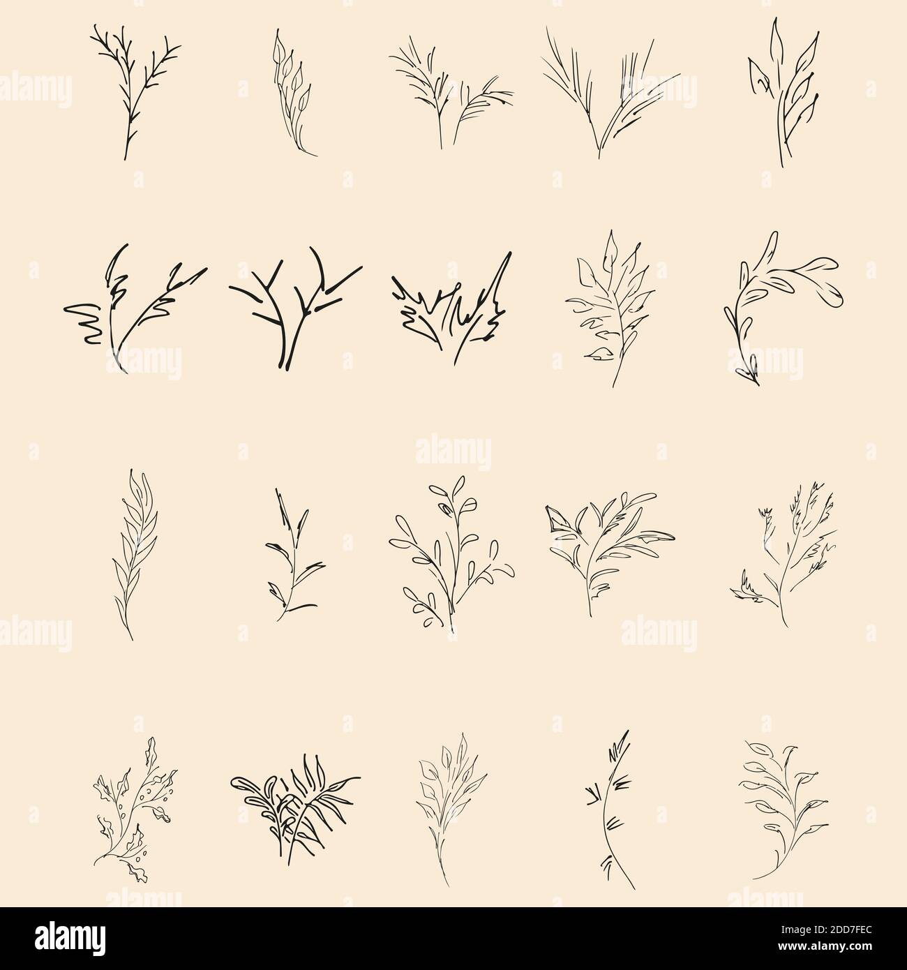 Doodle simple collection of 20 hand-drawn floral elements. Big ...