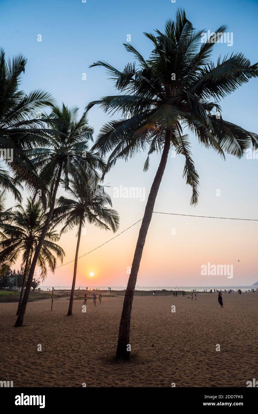 Miramar Beach at sunset, Panjim, Goa, India Stock Photo - Alamy