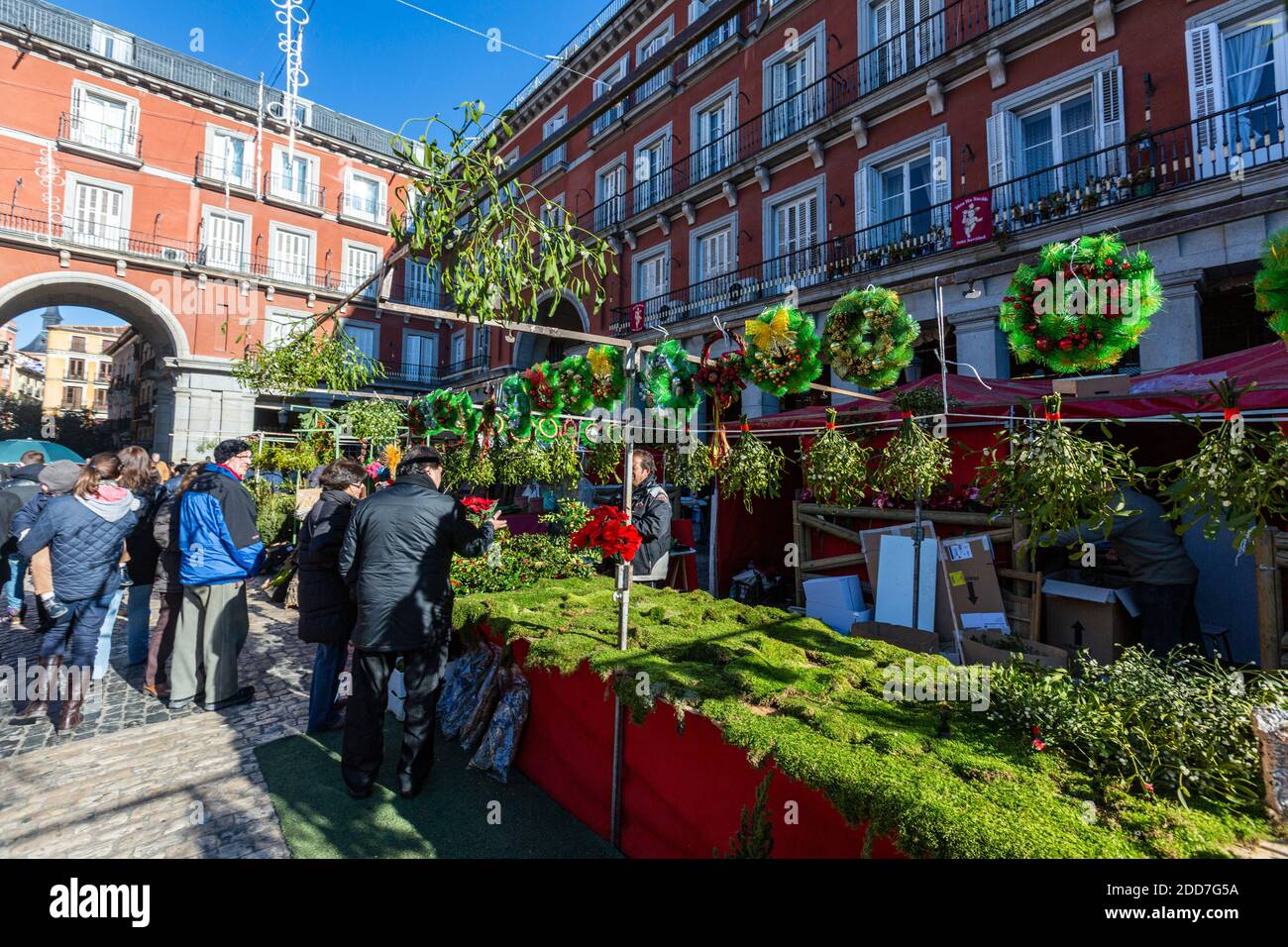 Stand selling moss and grass for belen, Nativity scenes, in Plaza Mayor ...