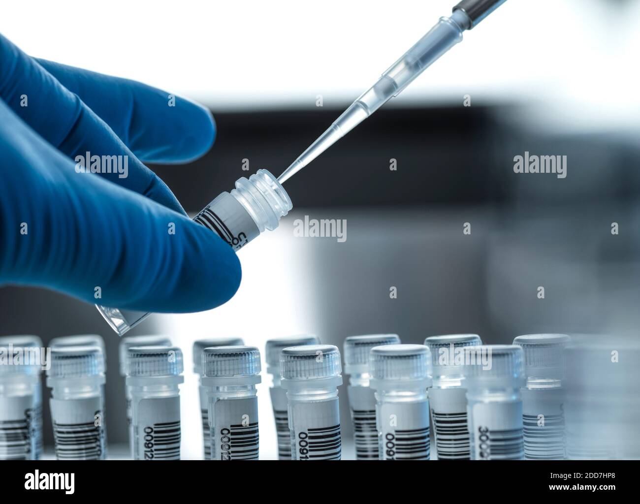Clinical Testing, DNA sample being prepared for testing in the lab ...