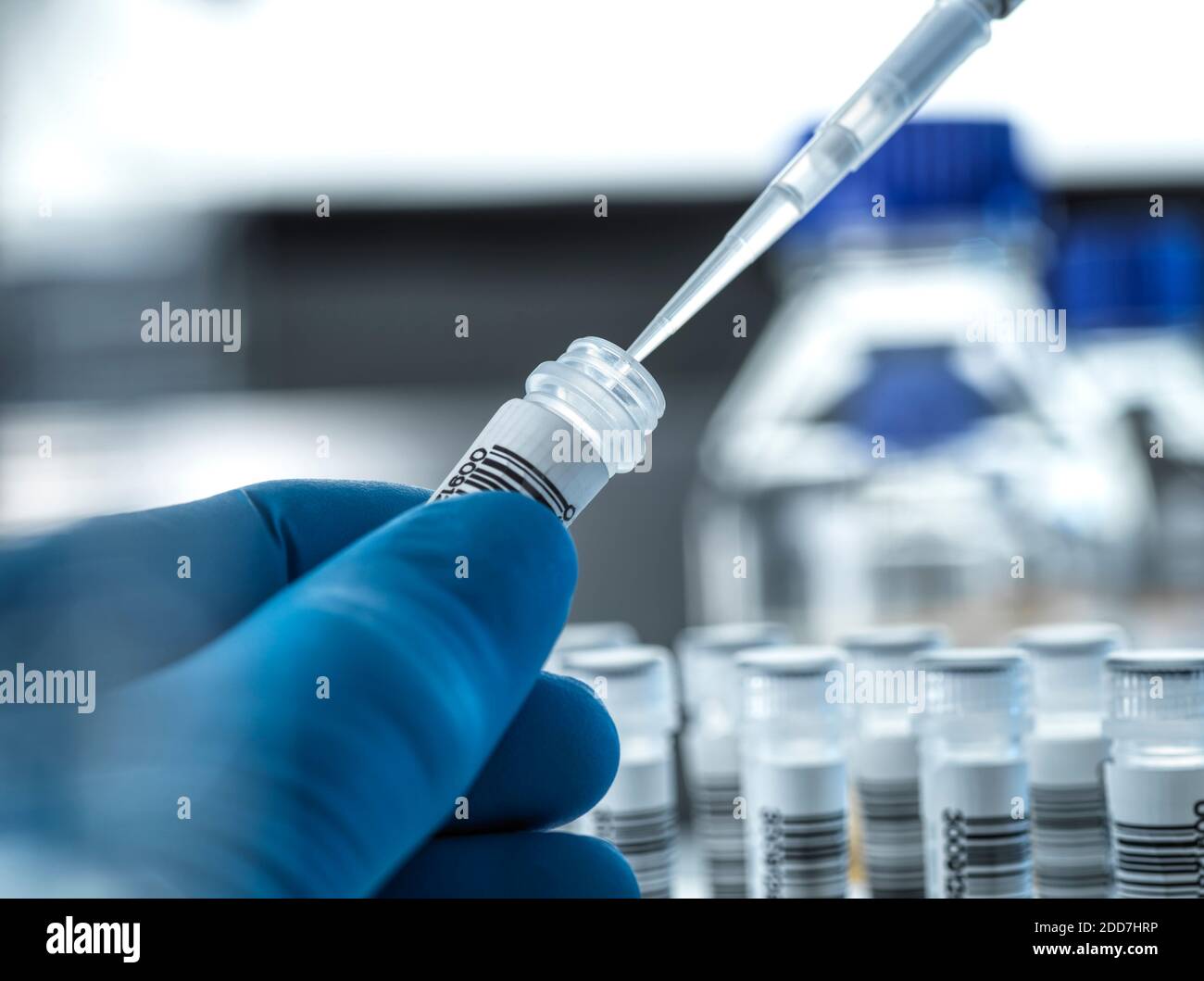 Clinical Testing, DNA sample being prepared for testing in the lab ...