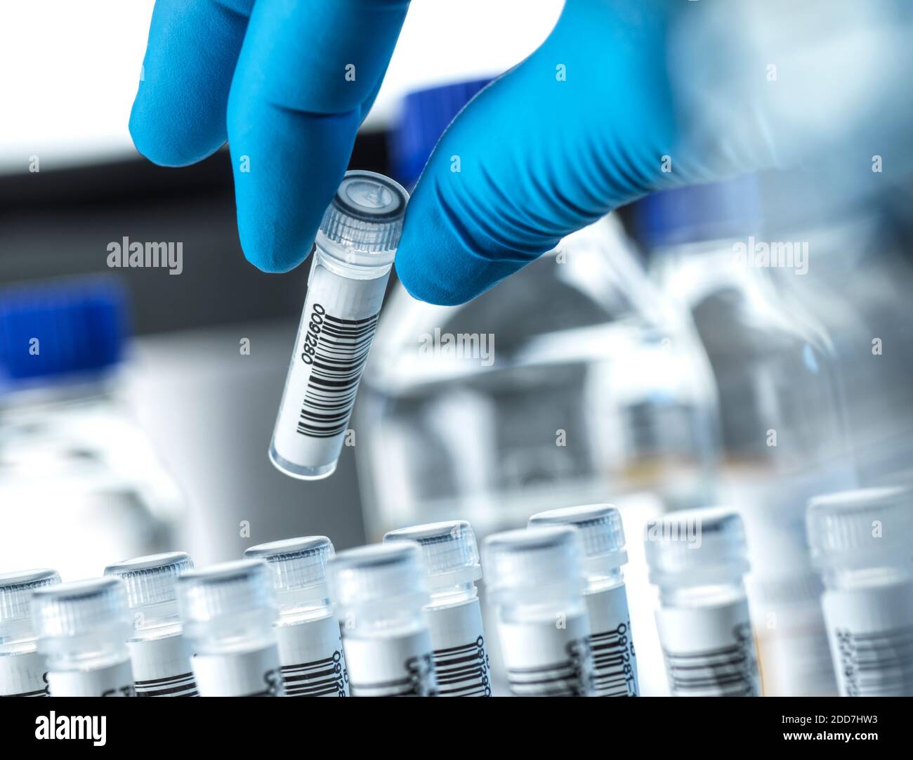 Clinical Testing, DNA sample being prepared for testing in the lab ...