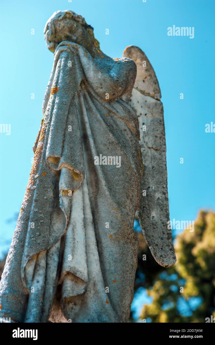 sculpture of angel with a tree in the background Stock Photo - Alamy