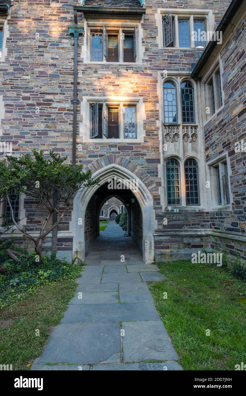 Princeton University Dorms