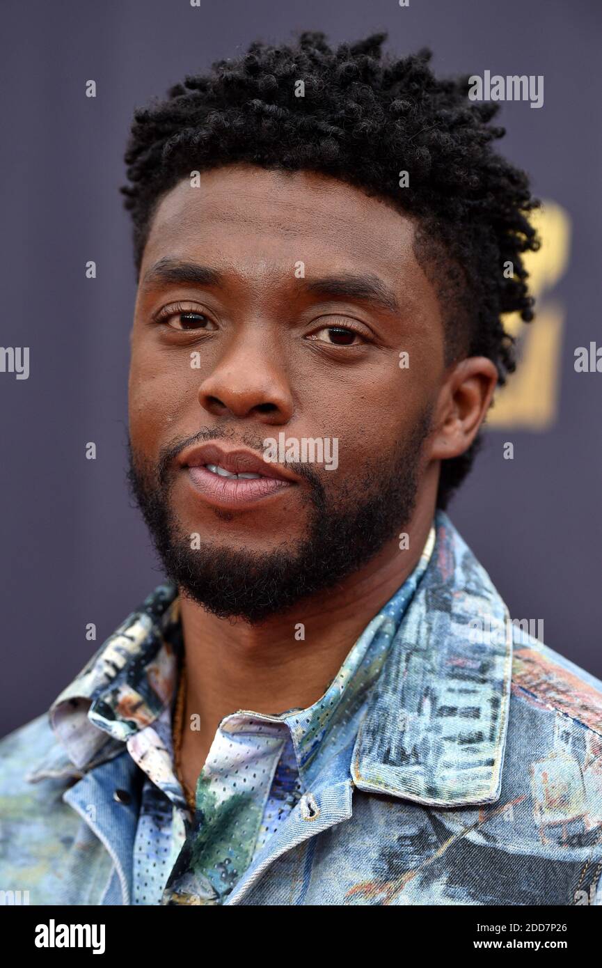 Chadwick Boseman attends the 2018 MTV Movie And TV Awards at Barker ...