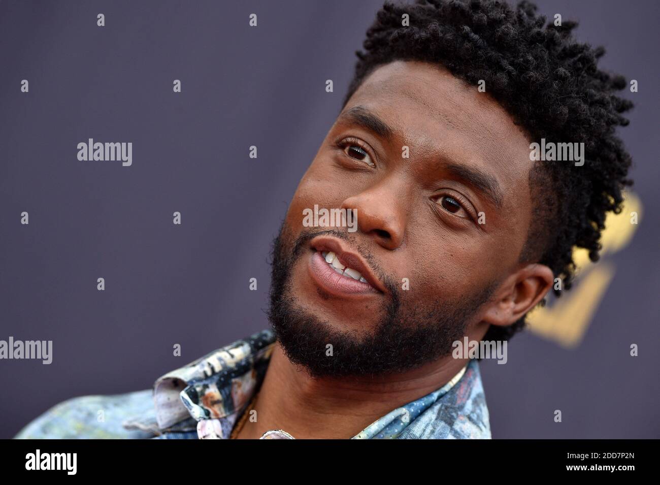 June Chadwick High Resolution Stock Photography and Images - Alamy