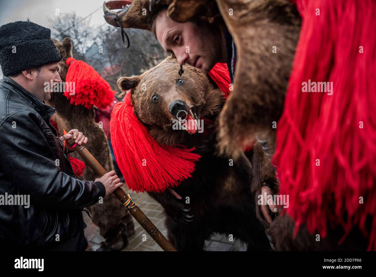 Traditional Bear Skin Costume High Resolution Stock Photography and ...