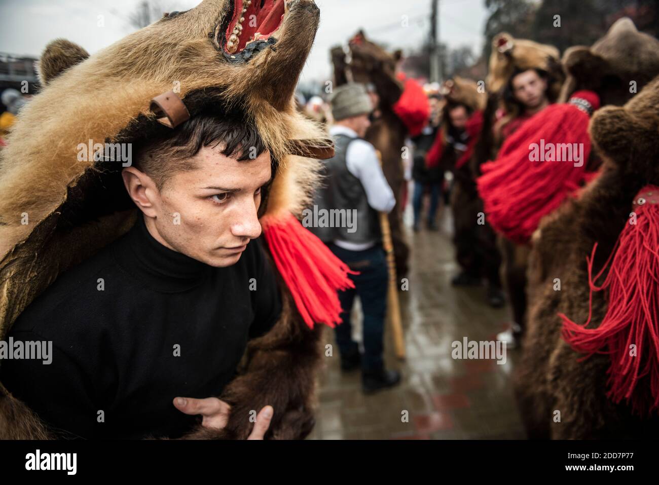 New Year Bear Dancing Festival, Comanesti, Moldova, Romania Stock Photo ...